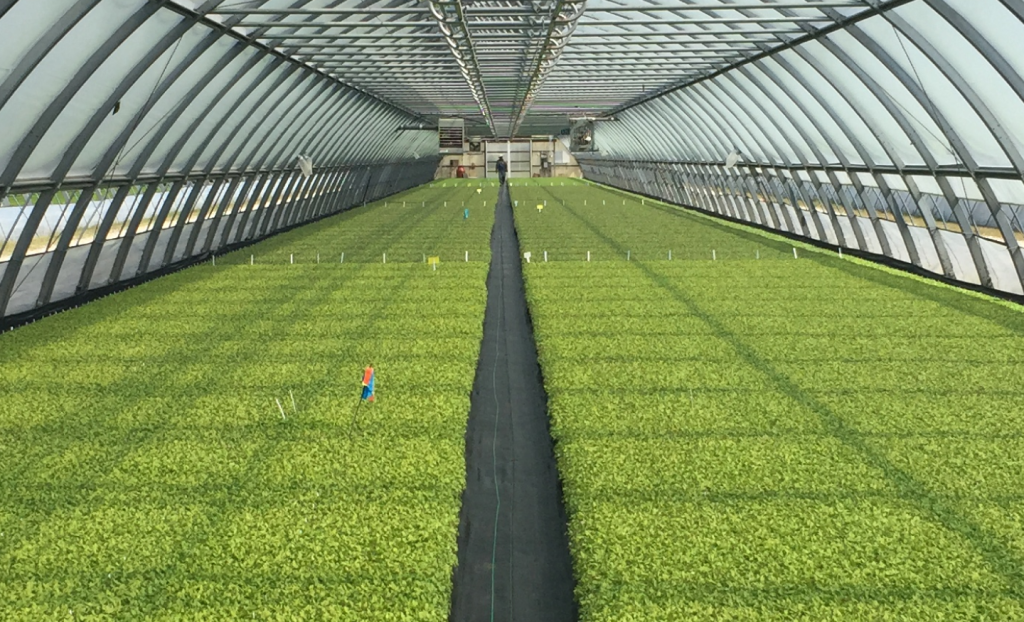 Kietzer Farms